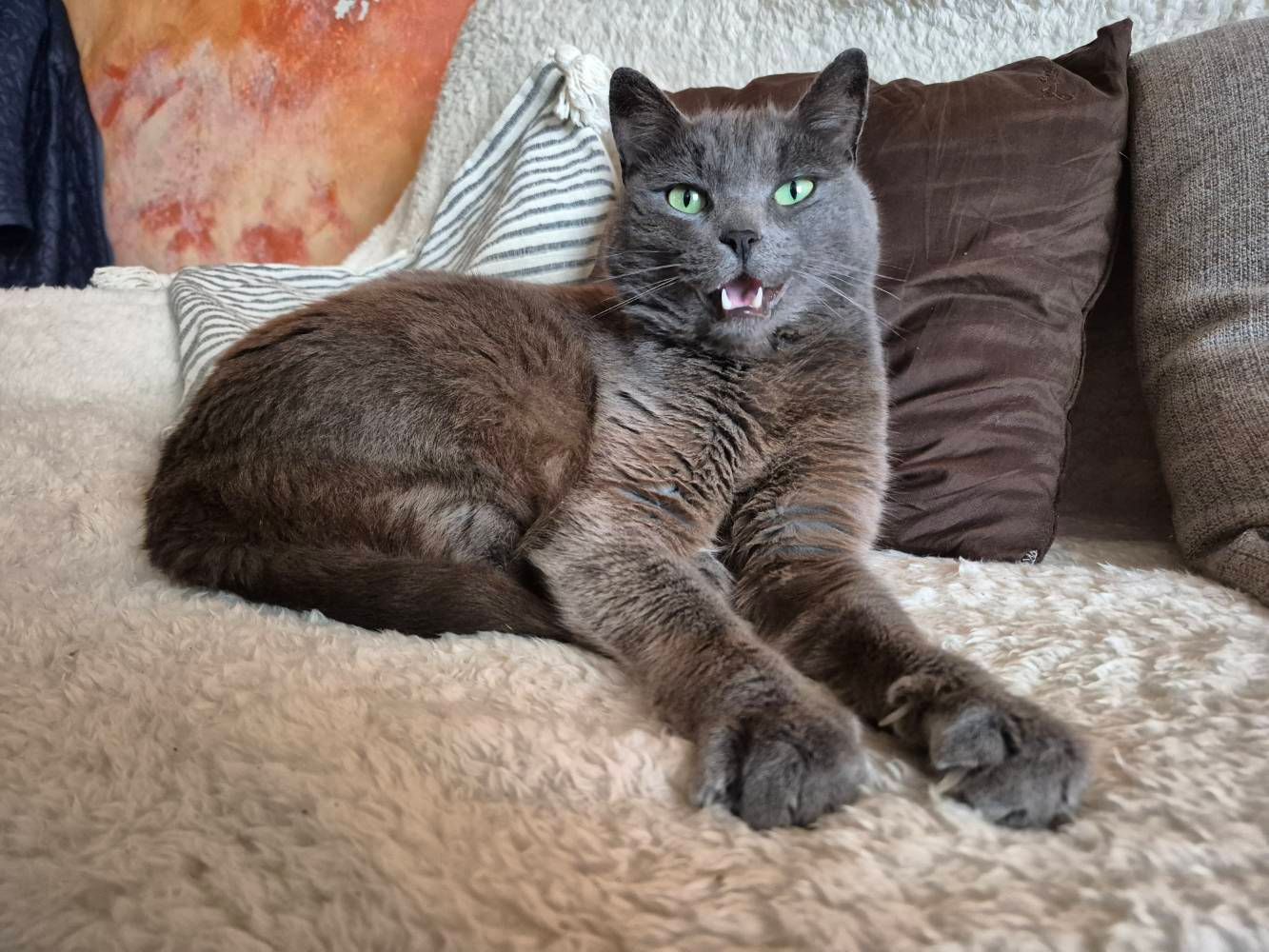 Bonjour, bon Dimanche ! - Samsung Community