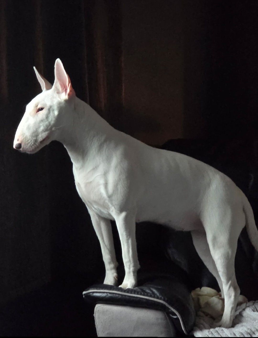 My baby ISA 😍👌 - Samsung Community