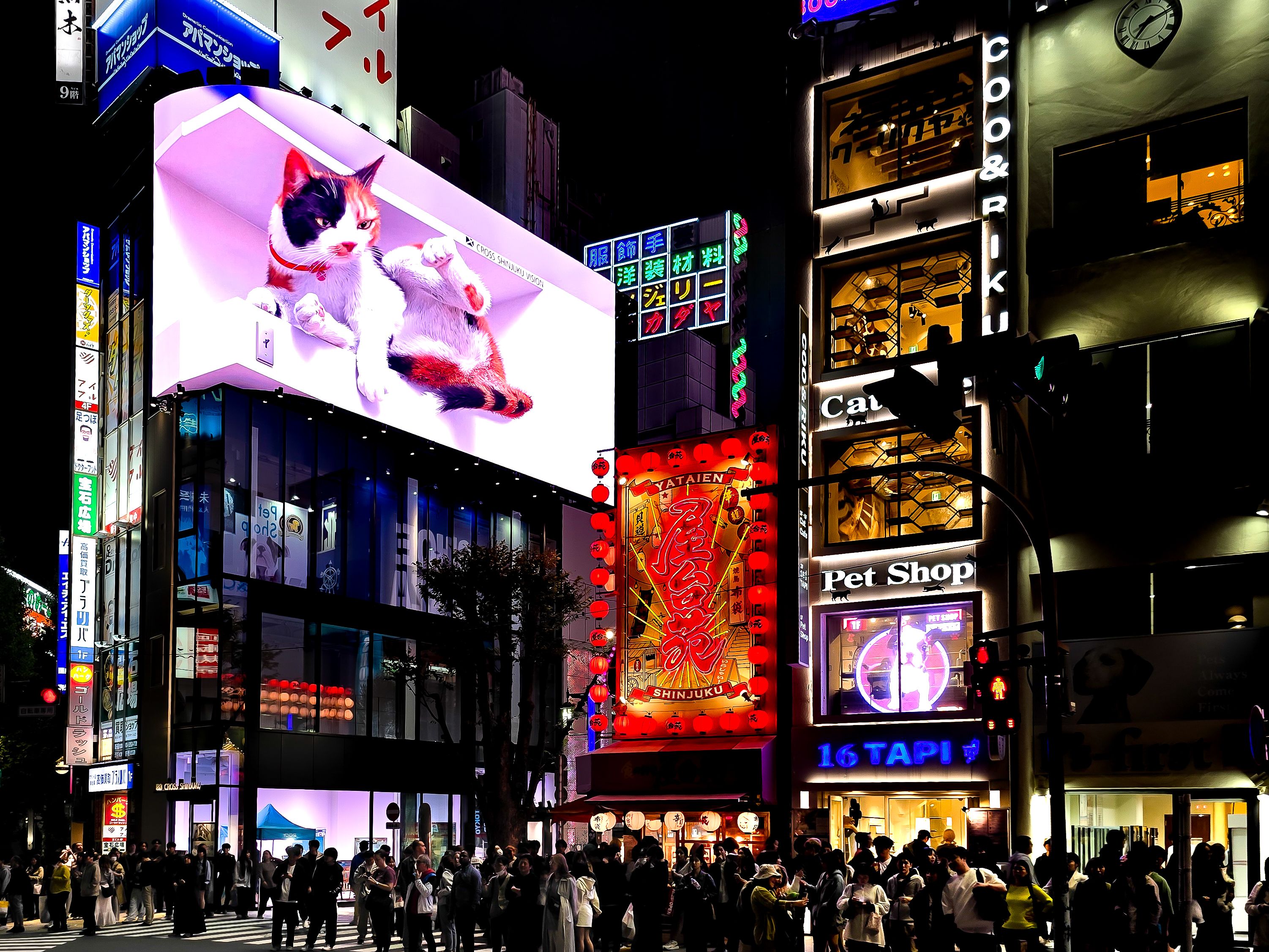 Ah! Chat alors! - Samsung Community