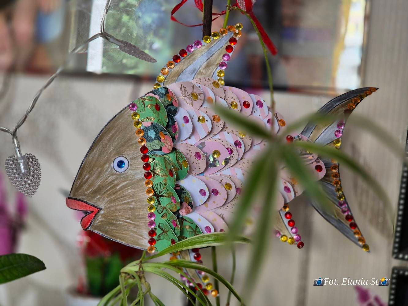 🦈Złota Rubka w suchym Akwarium 🦈 - Samsung Community