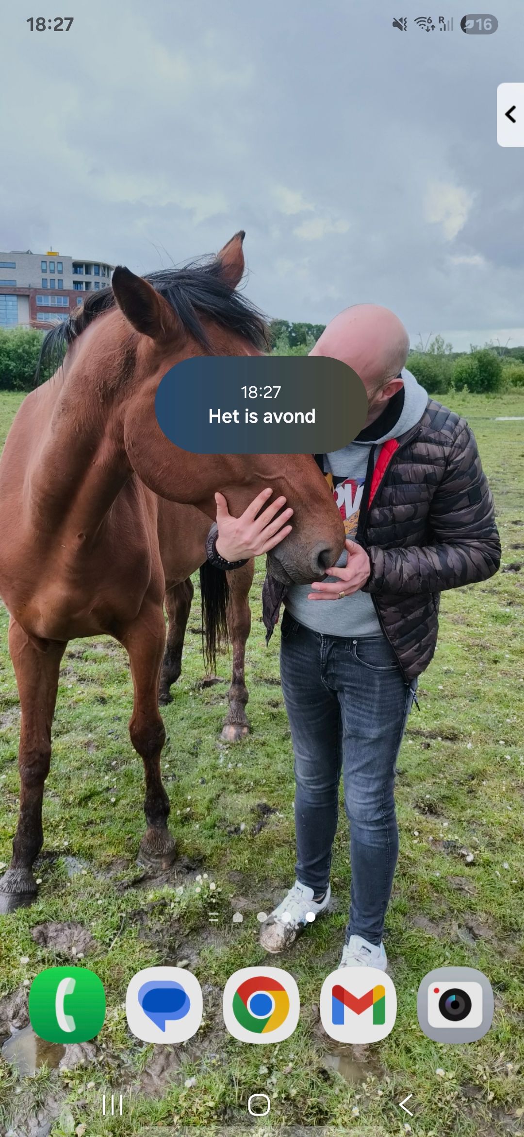 Opgelost: Pijl-icoon zijkant - Samsung Community