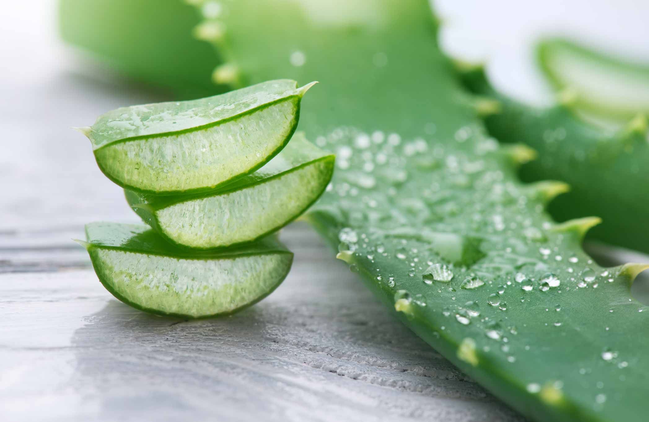 Aloe Vera / Levélbe zárt egészség - Samsung Community