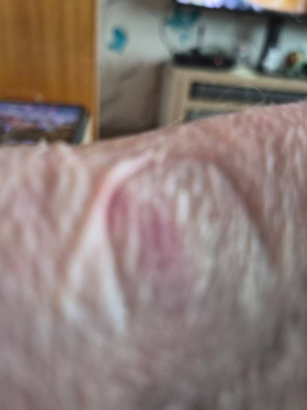 How to raise a complaint or speak with a supervisor or manager through ...