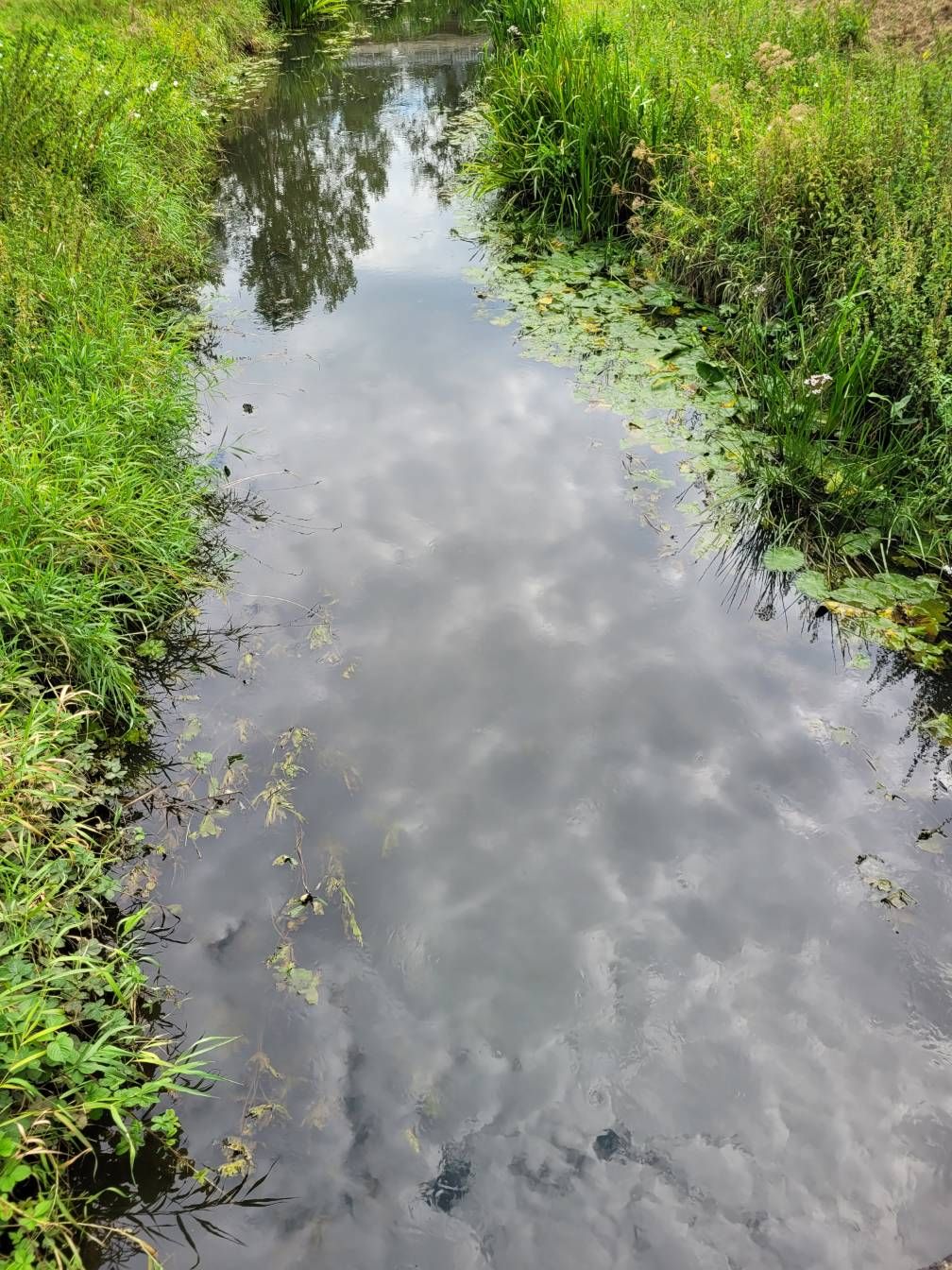 Fluss aus Wolken - Samsung Community