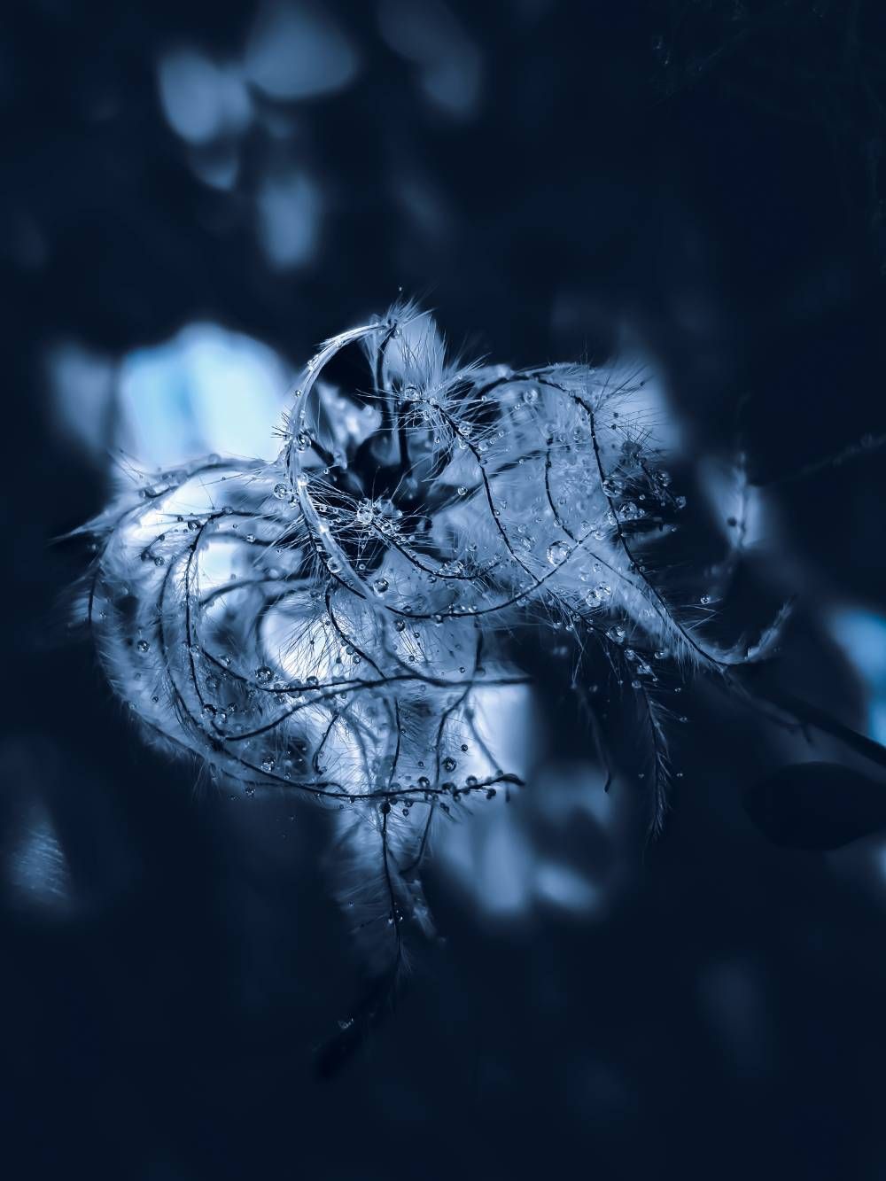 Regen... - Samsung Community