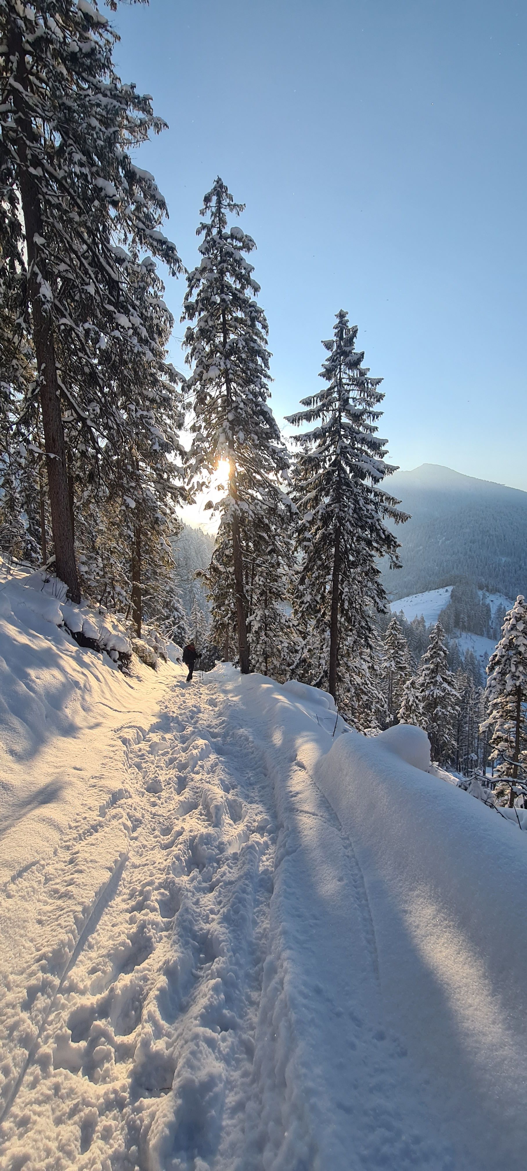 Snow S20+ 5G - Samsung Community