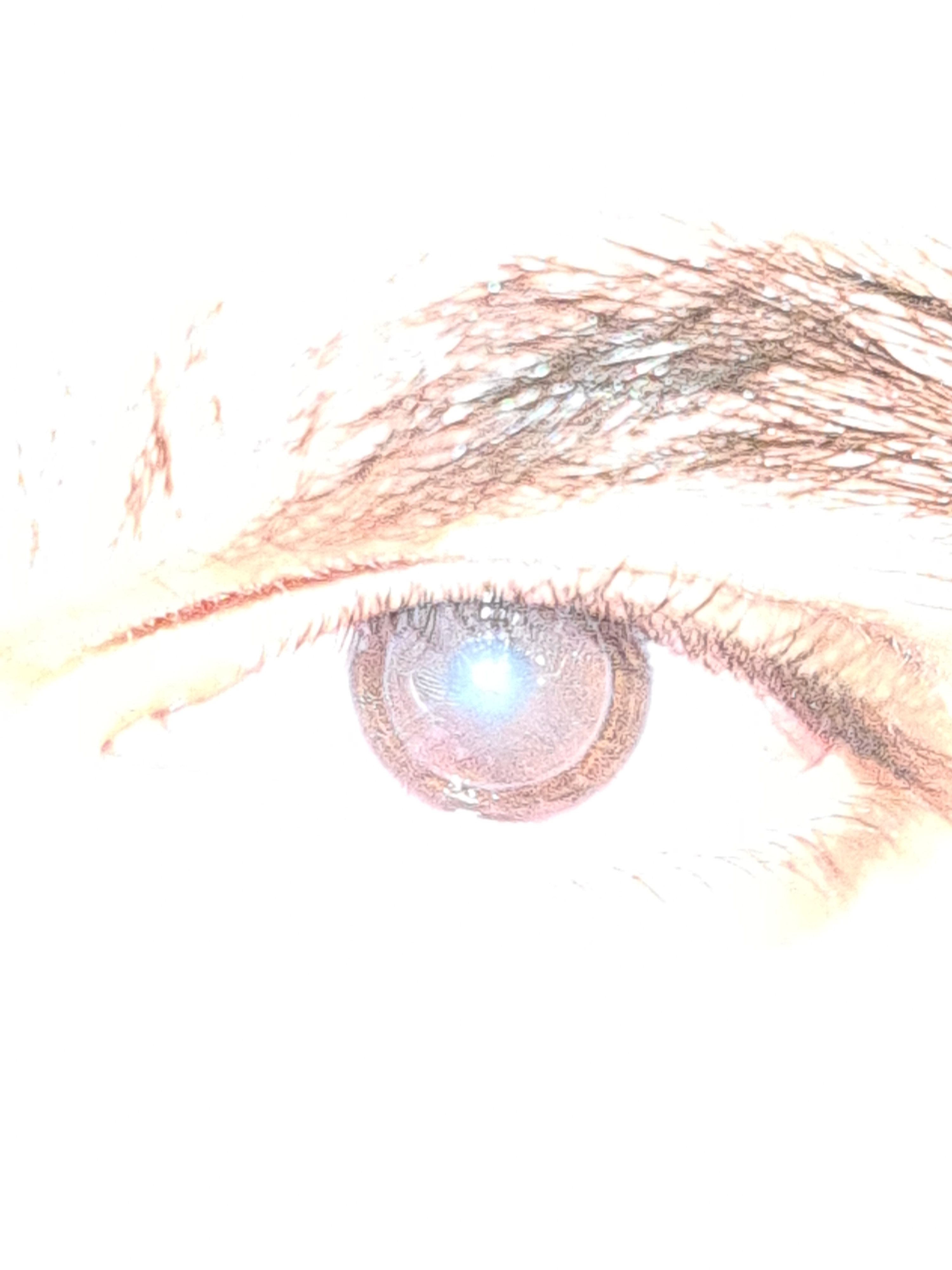 Galaxy s20 ultra camera flash problems - Page 2 - Samsung Community