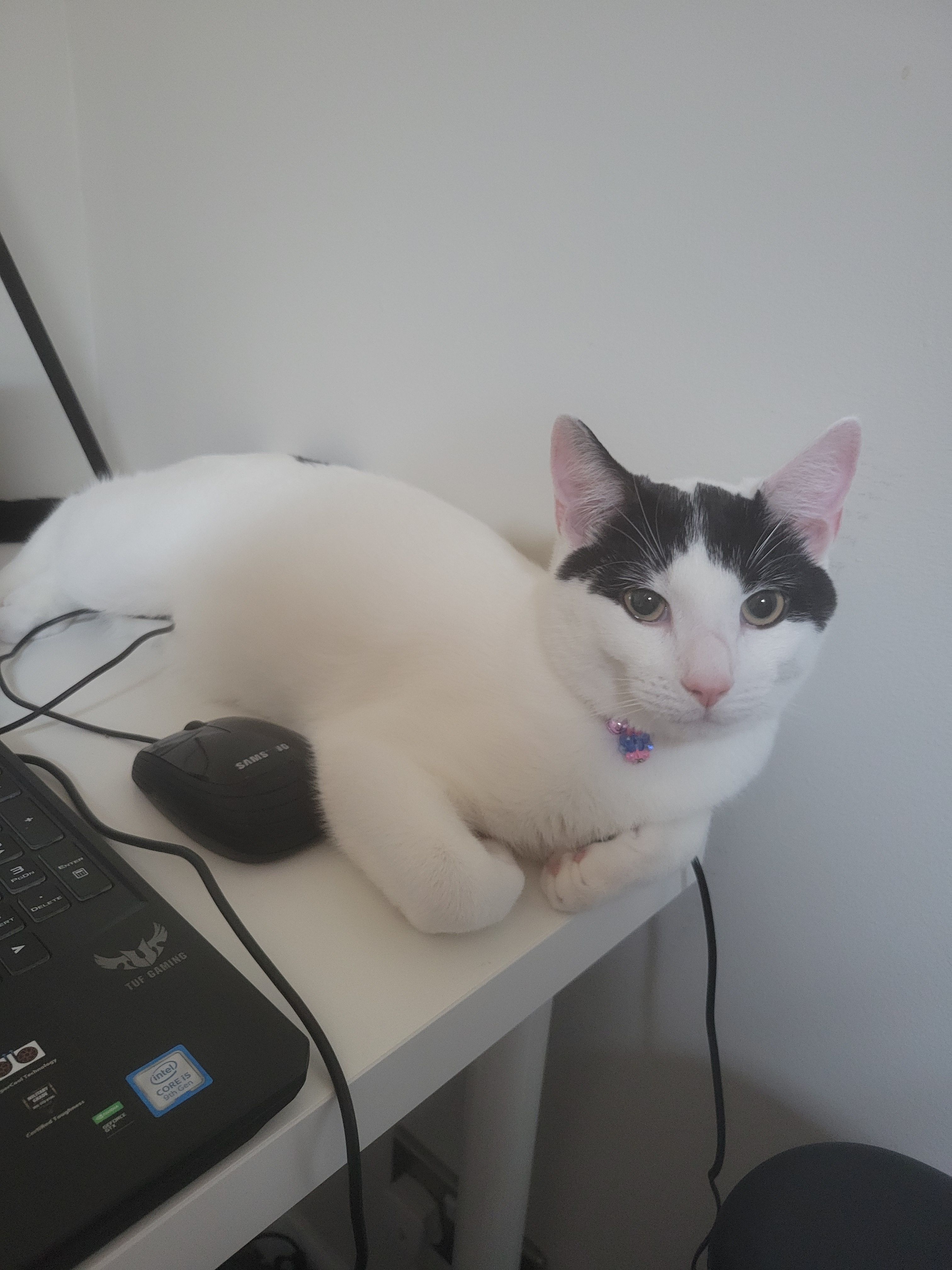 S21 Bad Camera Quality - Samsung Community