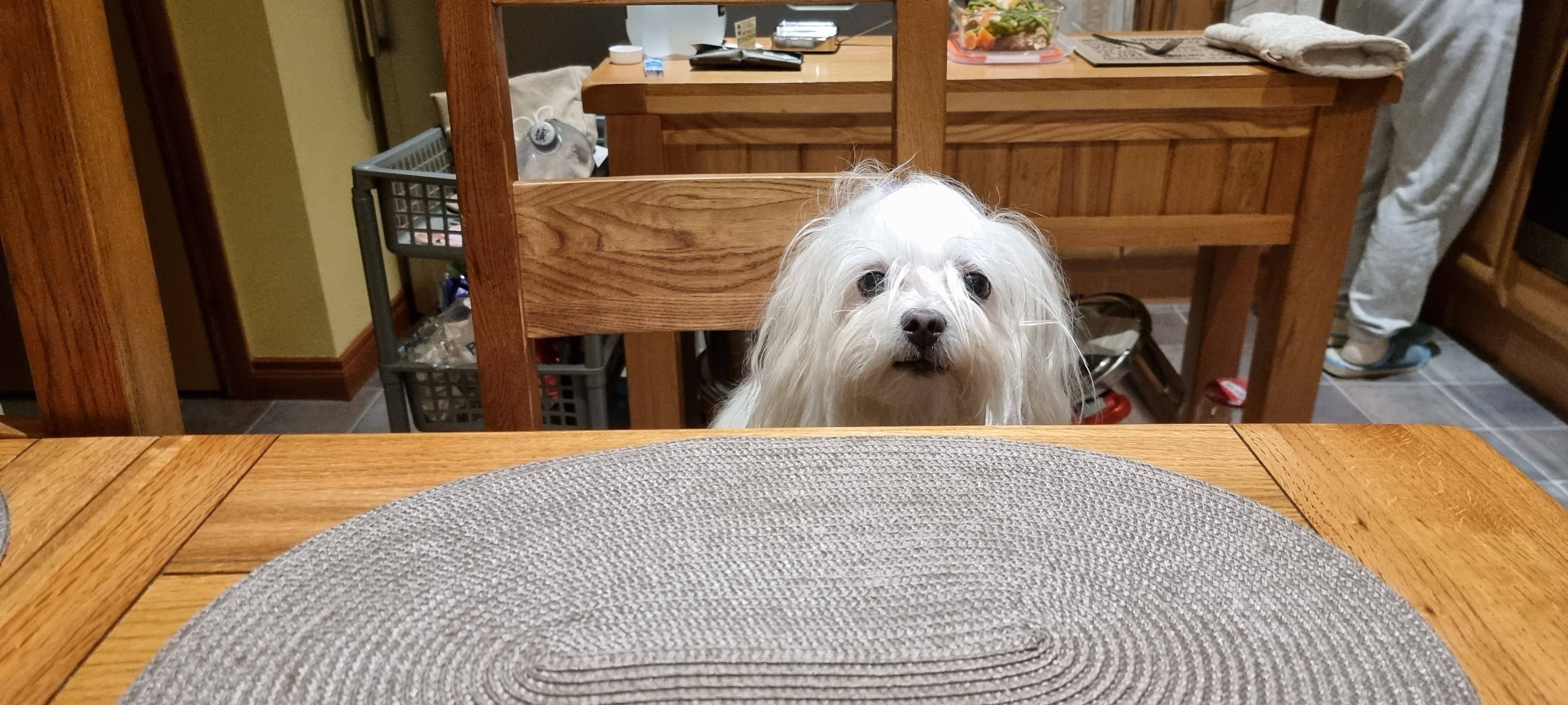 Lily : Where is my food? - Samsung Community