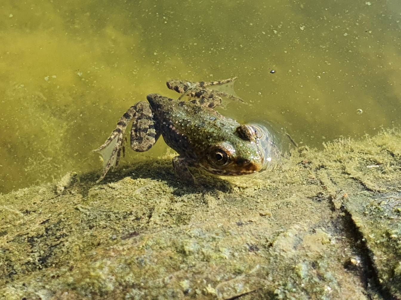 Breki - Samsung Community