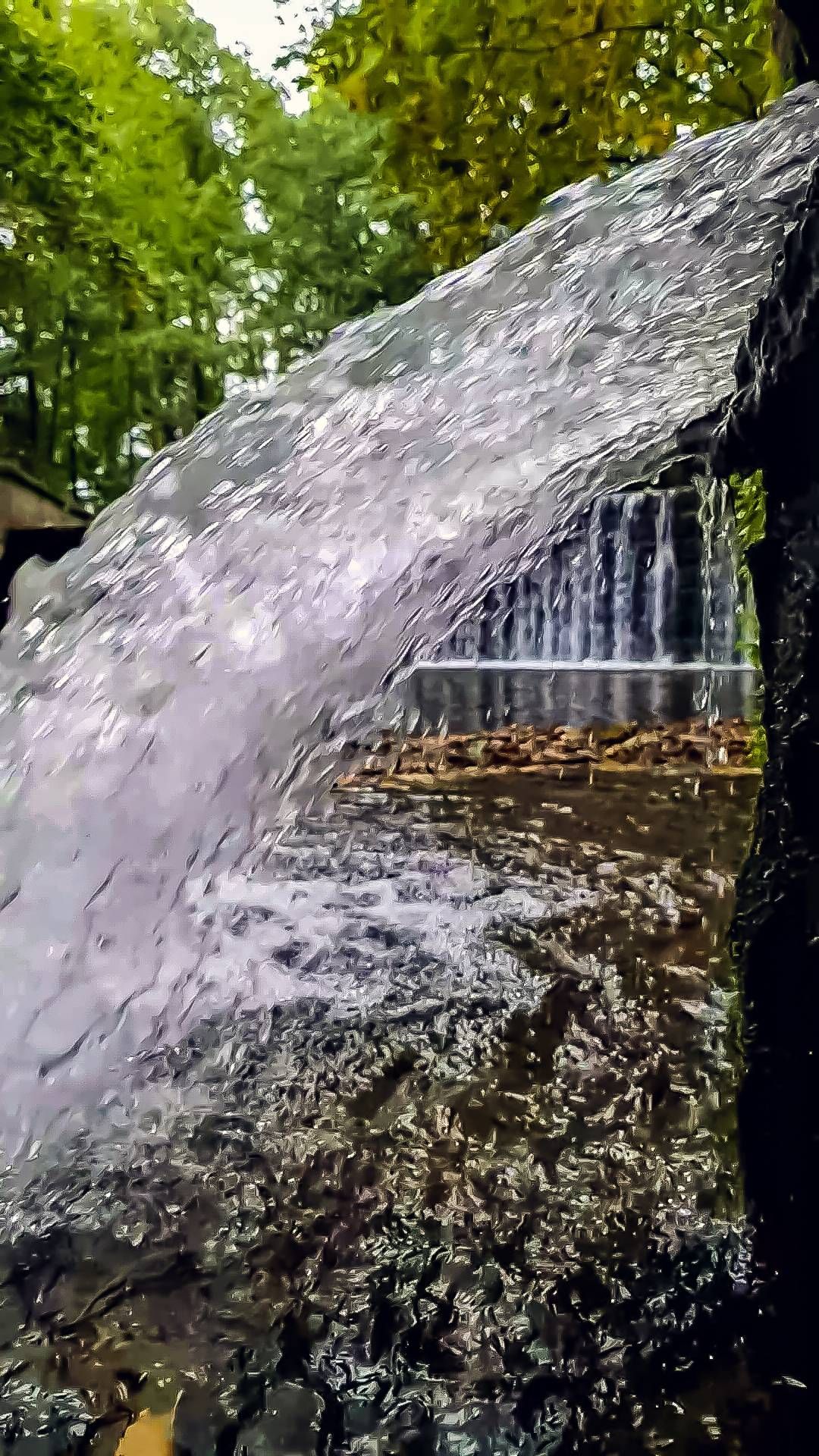 🌲🌲V parku 🌳🌳 - Samsung Community