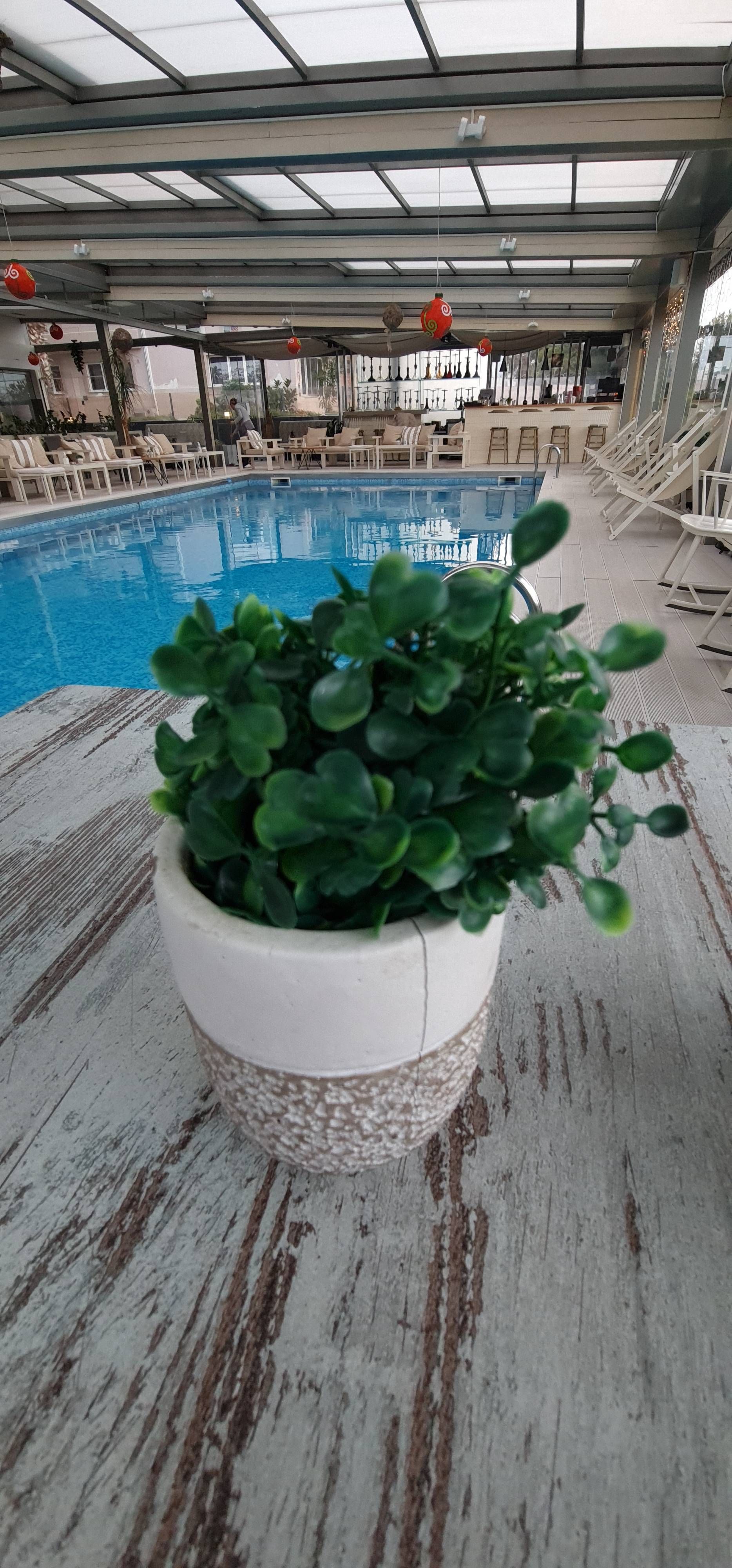 Pool... - Samsung Community