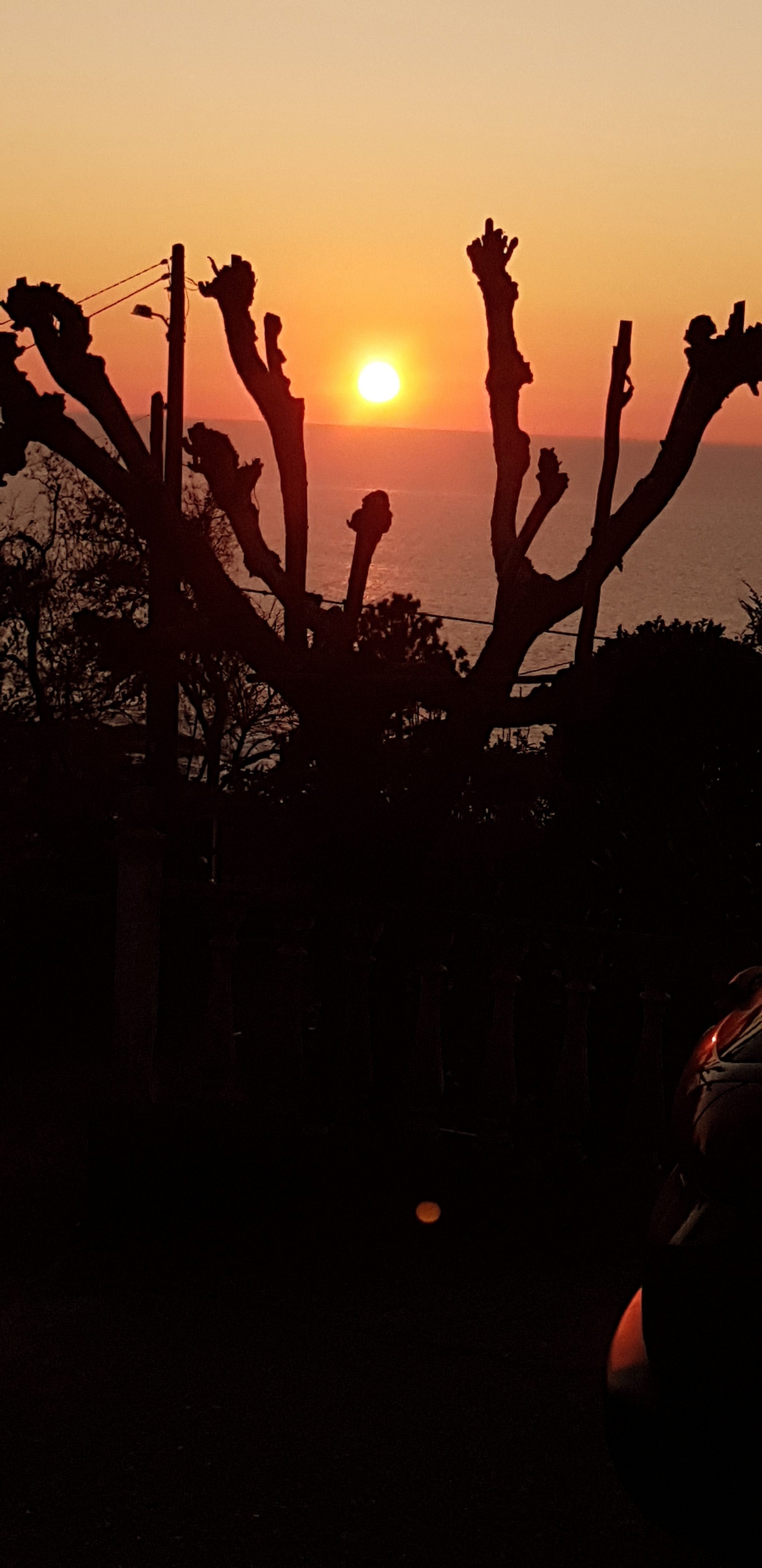 El sol - Samsung Community